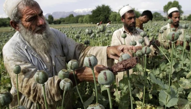 UNODC: TRAFFICKING OPIATES AND METHAMPHETAMINE ON THE BALKAN ROUTE ...